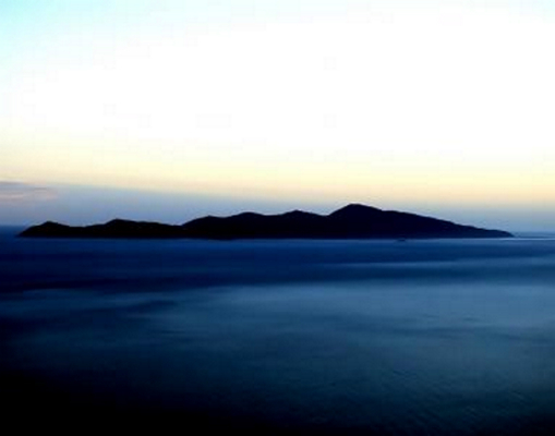 Kapiti Tours - Southward Car Museum, Nga Manu & More