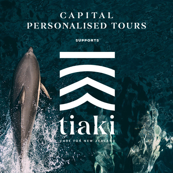 Top Attractions & Day Sightseeing Trips from Wellington